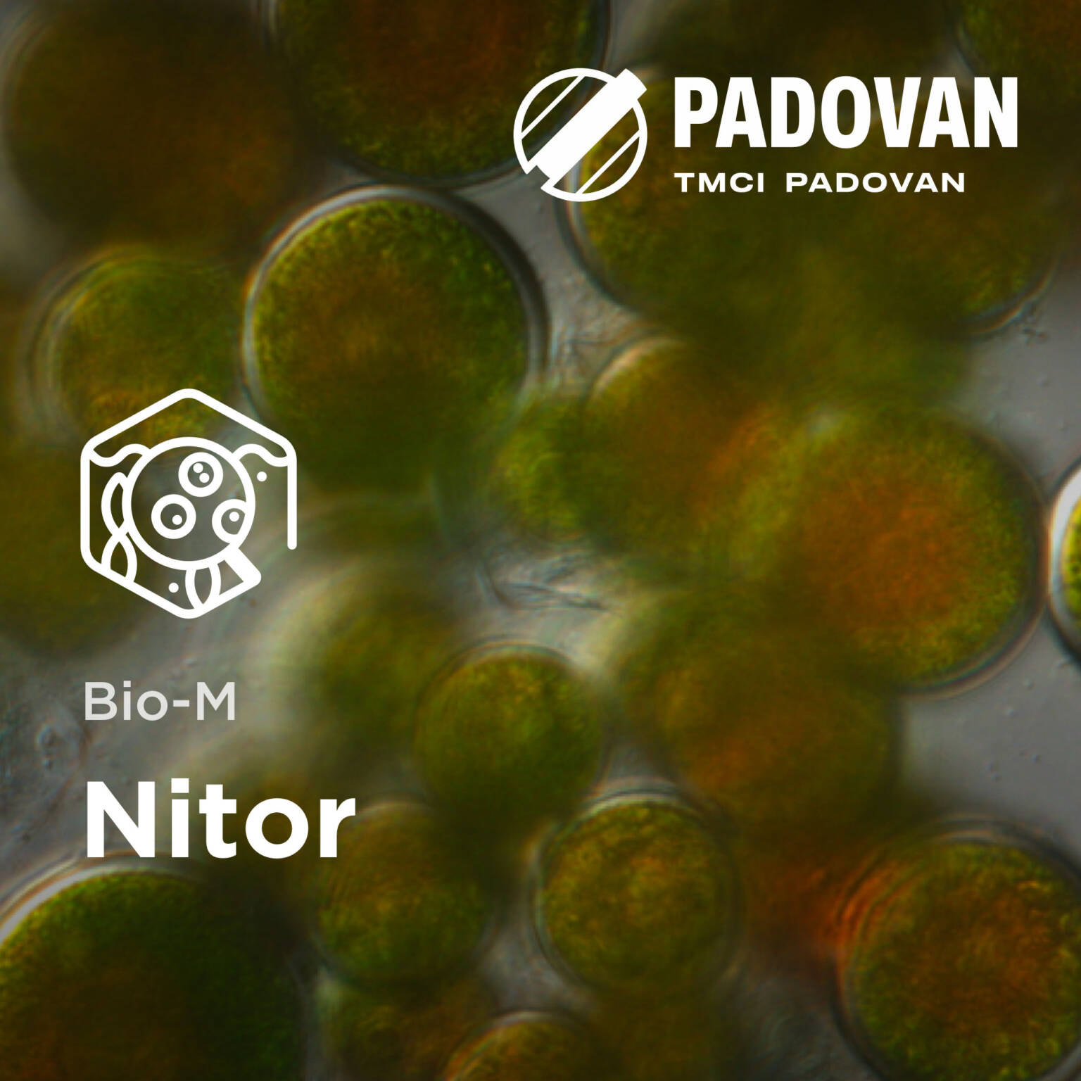 BioM Crossflow Filter for Microalgae and Cyanobacteria